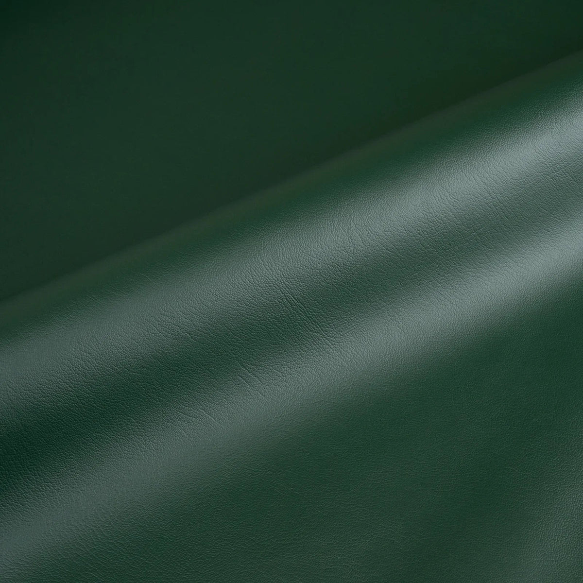 Modality Augusta Vinyl – Rochford Supply